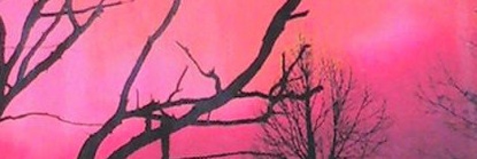 Interview with Sally Spedding | My Place for Mystery